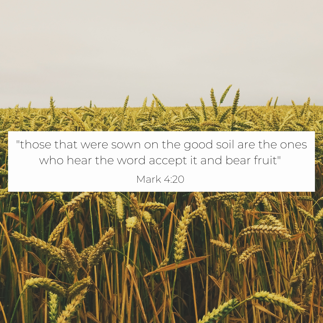 Mark 4:1-20 – Bible Study with Danelle